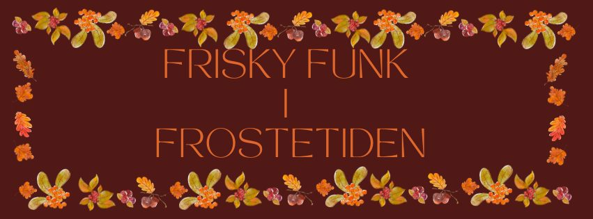 Konsert: Frisky Funk i Frostetiden